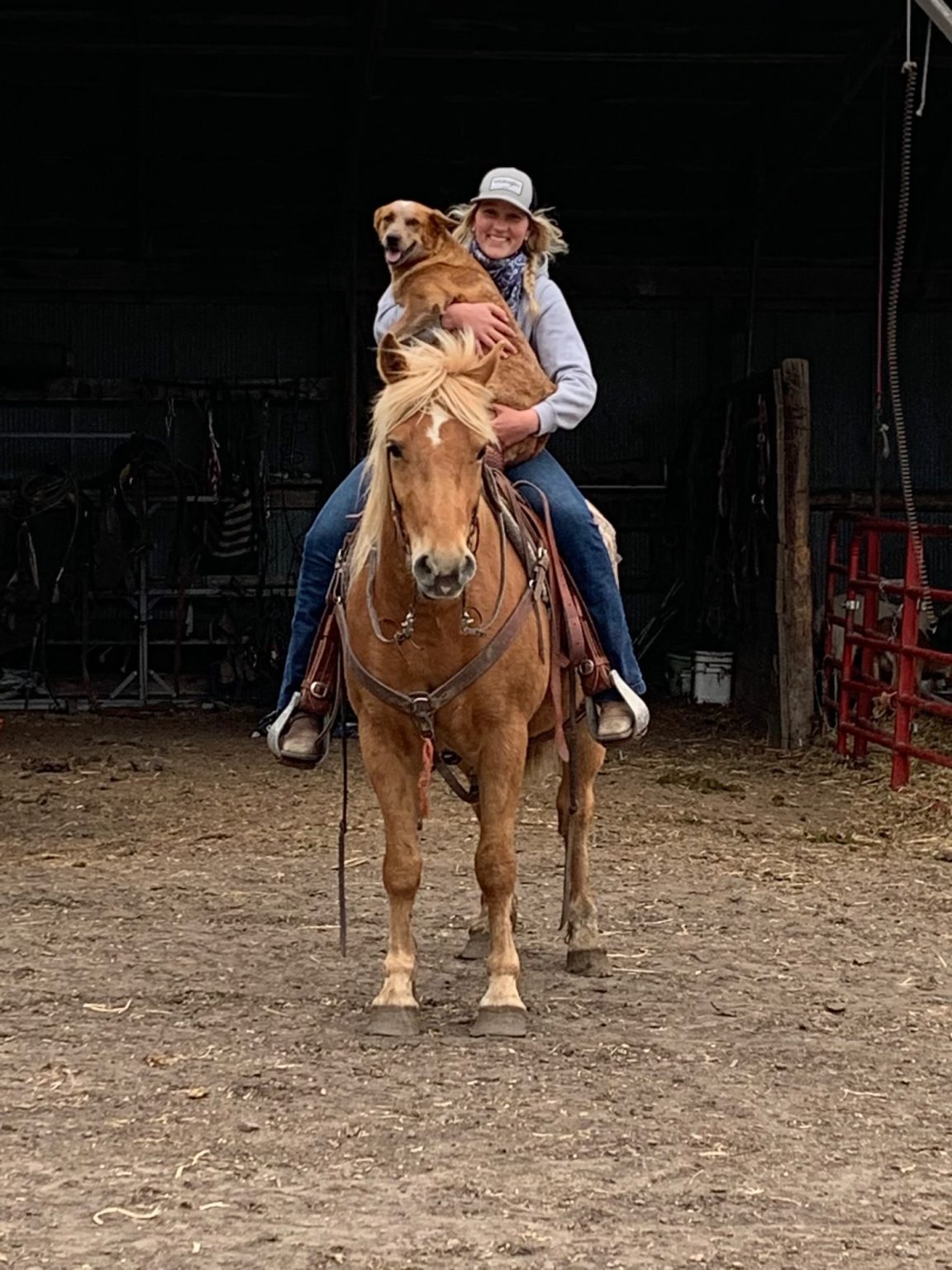 Our Team | St. James Veterinary Clinic